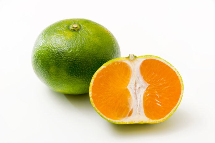 Las frutas en Japón - Muy Japones